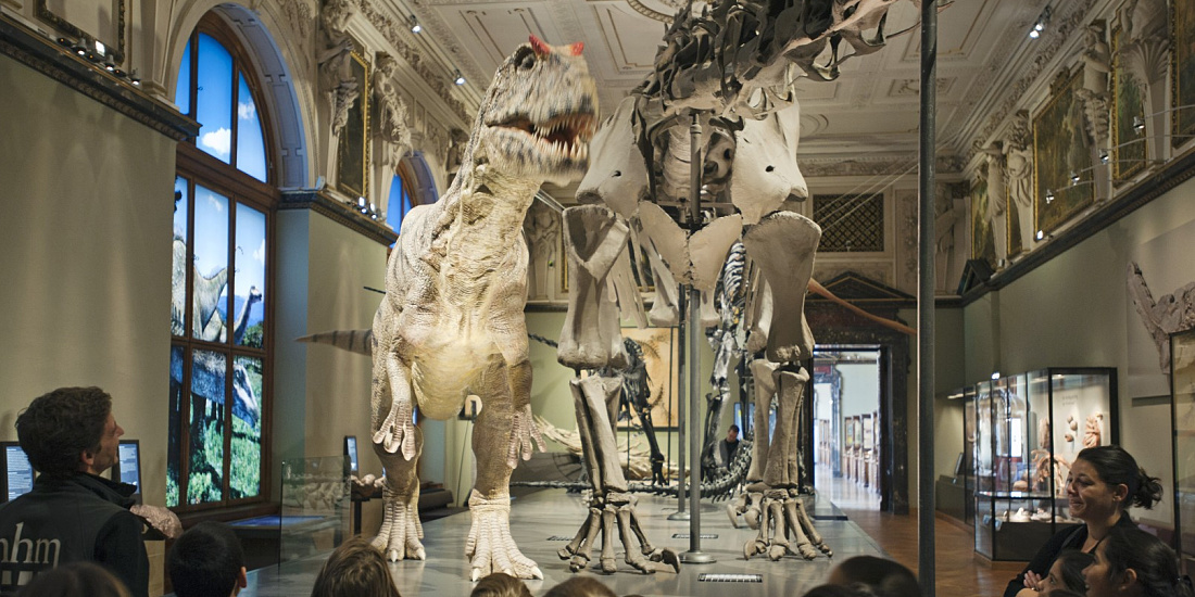 LED light: Dinosaur Hall at the Museum of Natural History Vienna ...
