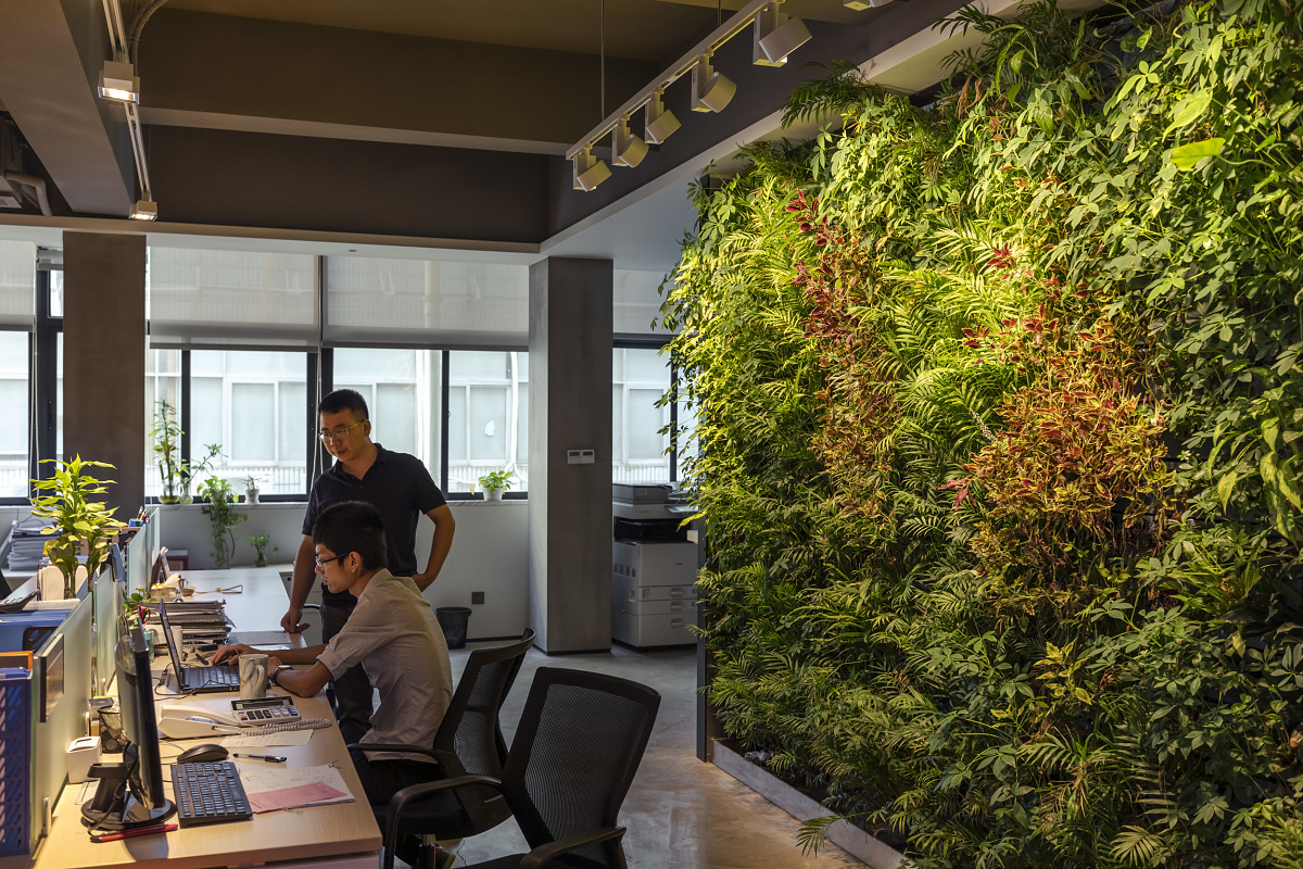 Green wall lighting - Service | ERCO