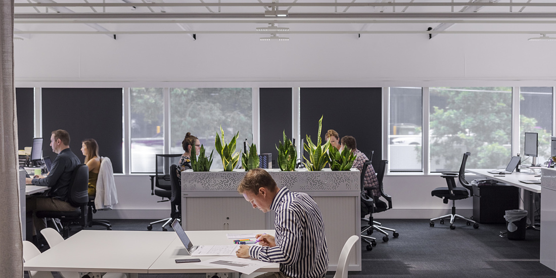 LED light: Flexible office lighting for the Jadecross Office, Sydney