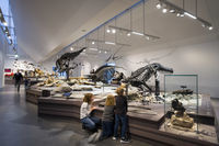 LED light: Natural History Museum, St. Gallen - Culture - Projects