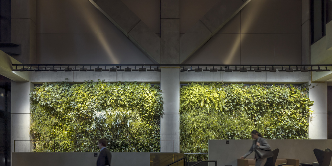 LED light: Light for green walls: 565 Bourke Street Foyer